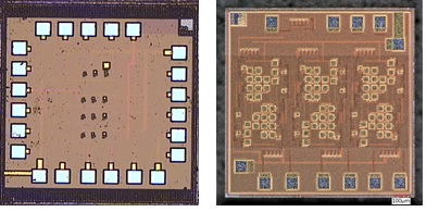 Yang Yi's Research